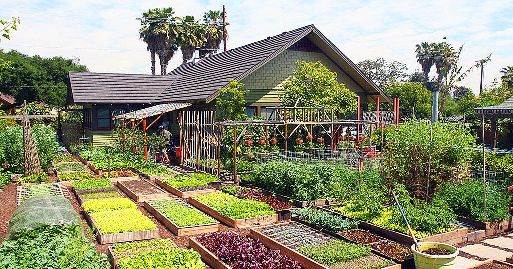This Tiny Farm Pumps Out 6,000 lbs Of Food Per Year. But Where It's ...
