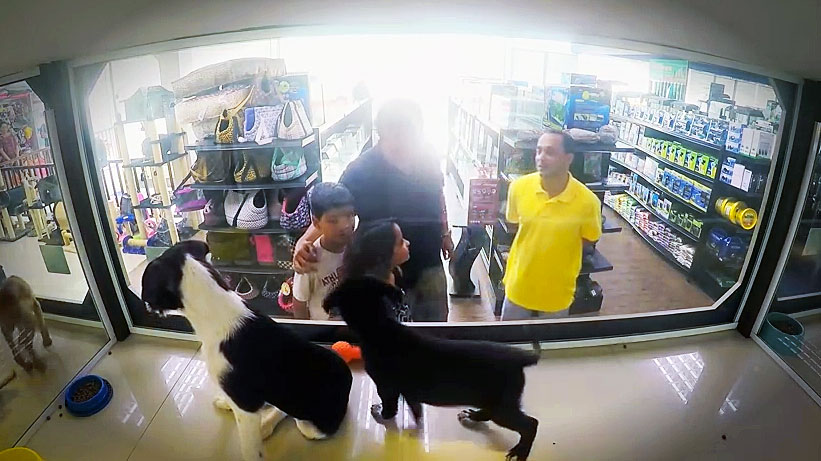 This Pet Store Secretly Swaps All The Pets With Rescues. Now Watch How ...
