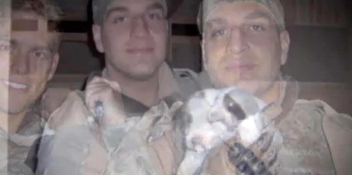 What Occurred After This Pup's Human Died Stunned Everyone. This Tore ...