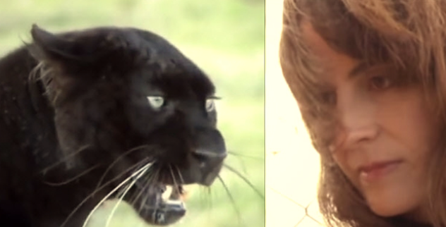 He Growled and Snarled At Everyone Who Got Close To His Cage. But When ...