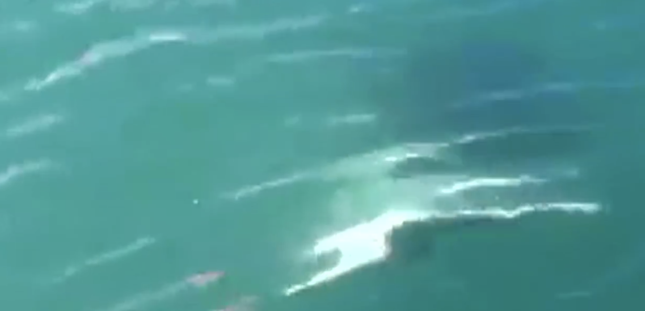 Fishing Archives - Sun Gazing