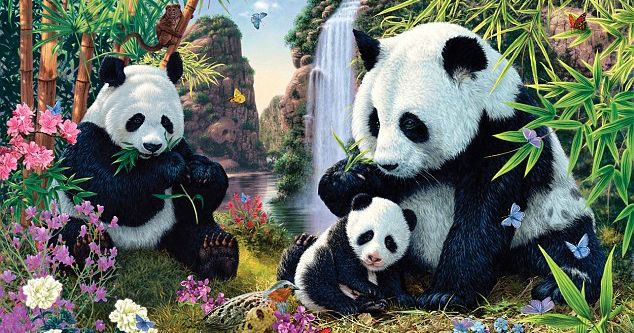 Can You Find The 12 Hidden Pandas In This Picture?