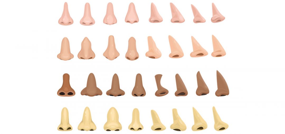 14 different nose shapes - luabank