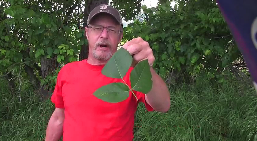The Simplest Way To Never Get Poison Ivy Again. This Is Such an Awesome ... The Simplest Way To Never Get Poison Ivy Again. This Is Such an Awesome ...