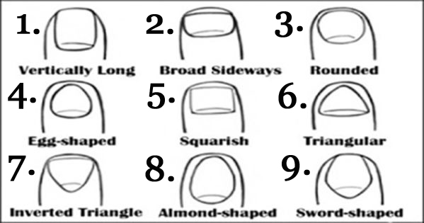 Which Finger Nails Shape and Size Are You? The Answer Will Reveal ...