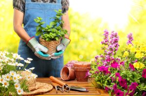 10 Gardening Life Hacks Everyone Should Know.