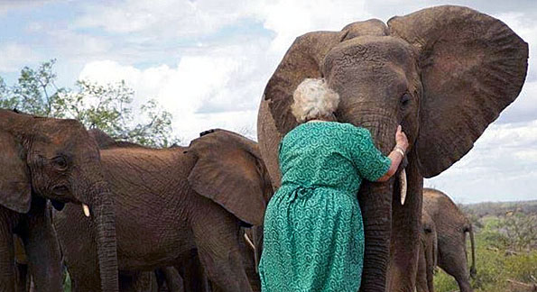 Video: These Elephants Always Gather To Hug This Woman. The Reason Tore ...