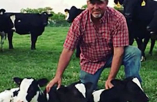 Cow Gives Birth To Something So Rare That It Only Happens 1 Time Out of ...