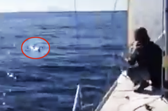 These Guys Were Out In The Ocean When They Noticed Something Very ...