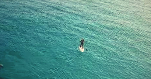 At First I Thought He Was Paddle Boarding In The Water Alone. But When ...