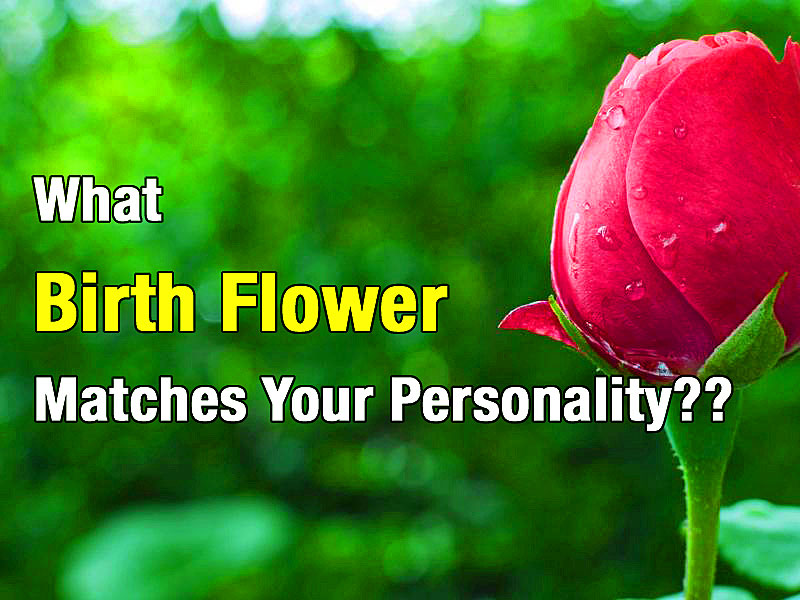 What Birth Flower Matches Your Personality?