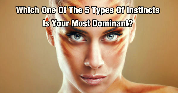 Which One Of The 5 Types Of Instincts Is Your Most Dominant?