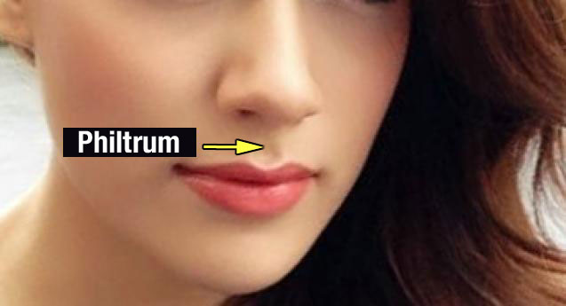 THIS Is The Strange Reason Why We Have That Groove Between Our Nose and ...