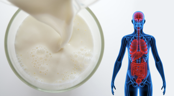 Scientists Are Warning People That This Type Of Milk Is Linked To ...