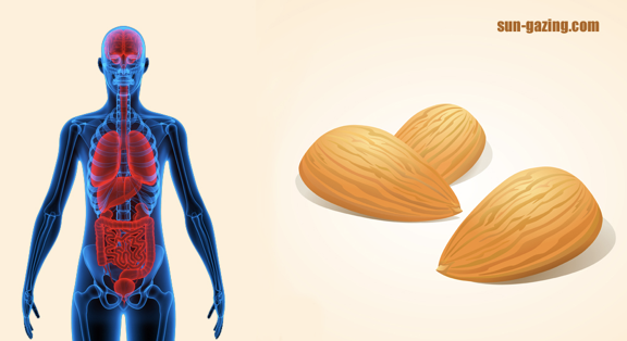If You Eat 12 Almonds a Day THIS Happens To Your Body