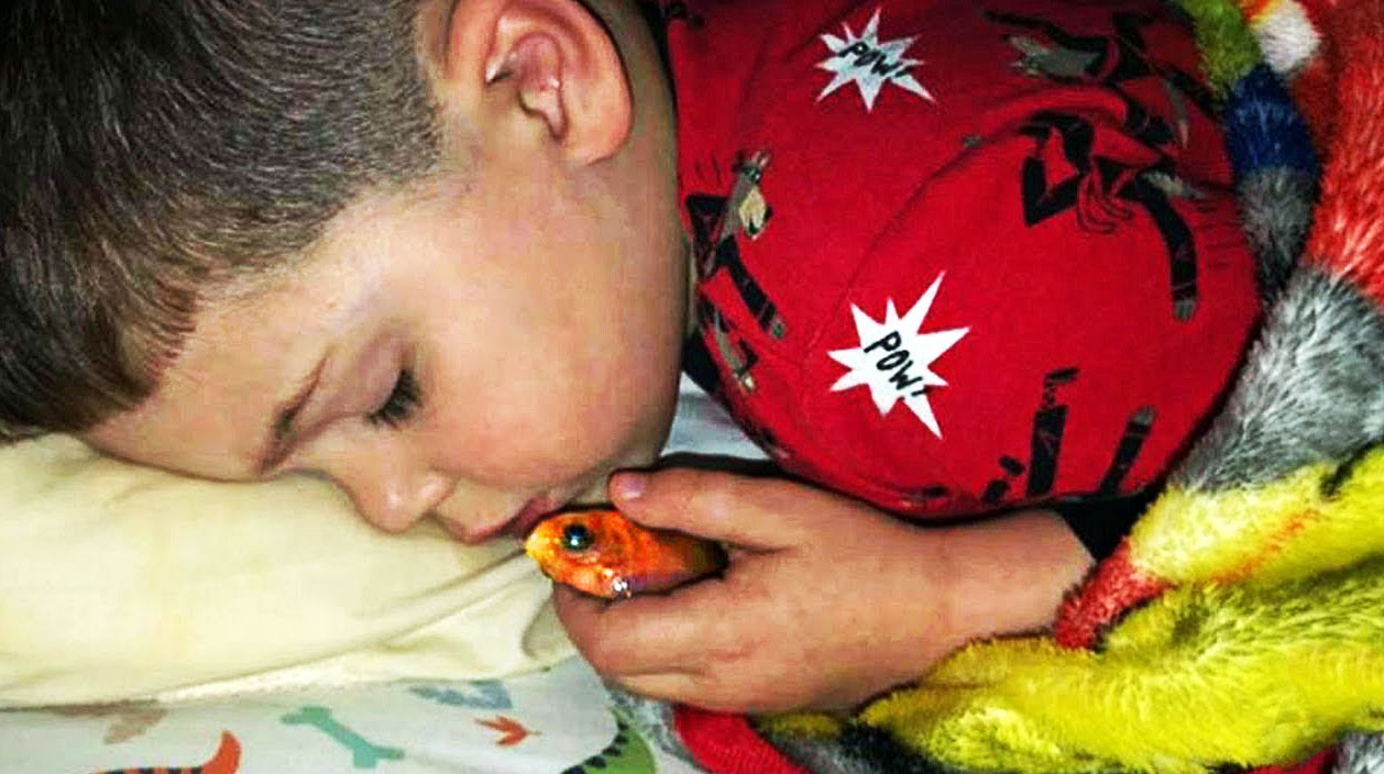 4-Year-Old Is Scared Of The Dark So He Cuddles With His Goldfish. But ...