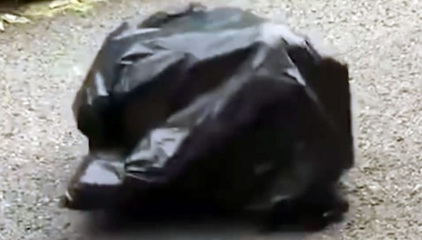 She Notices a Strange Garbage Bag On The Road. She Opens It and Breaks ...