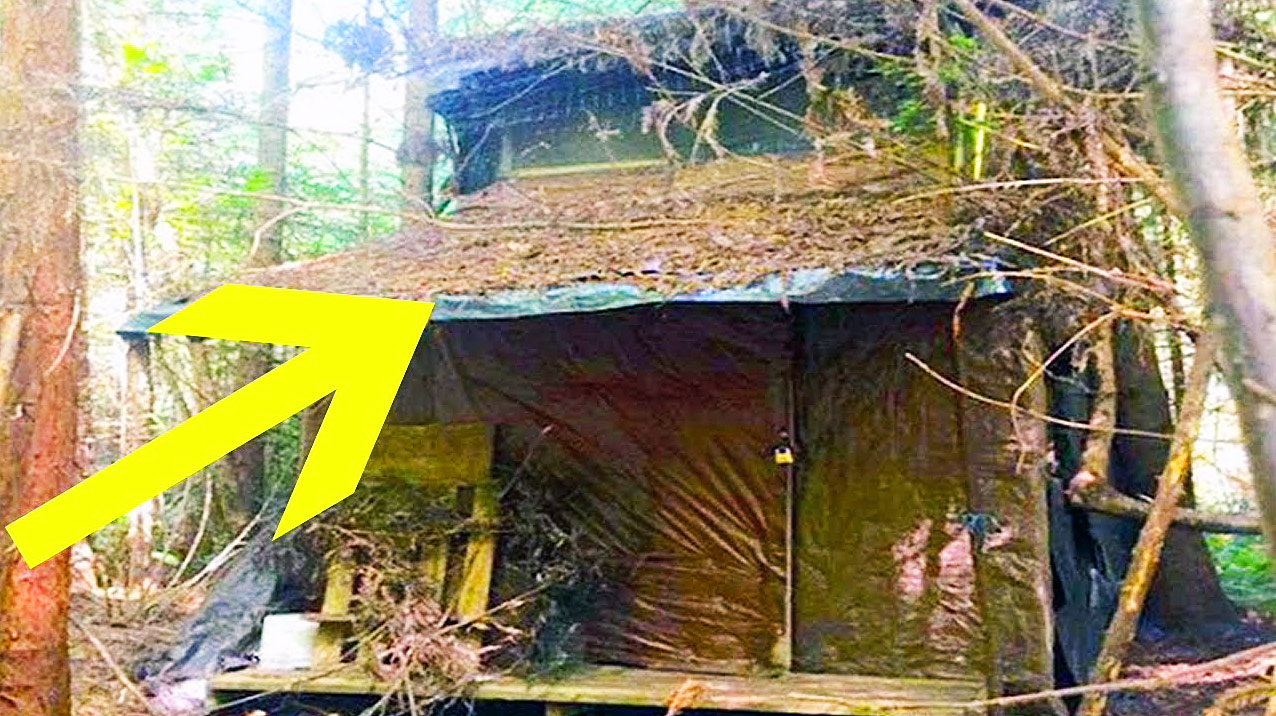 Forest Ranger Accidentally Finds a Mysterious Hidden Cabin In The ...