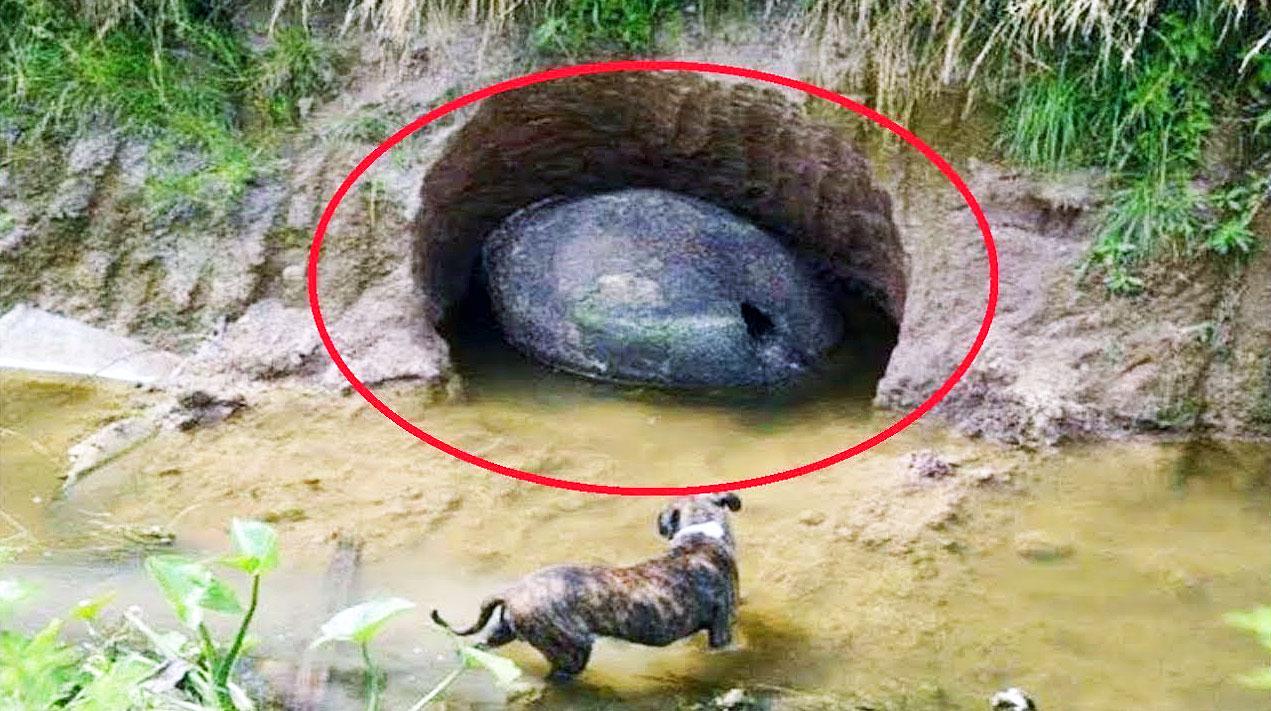 Farmer Working His Land Discovers a 3,000 Year Old Hidden Mysterious ...