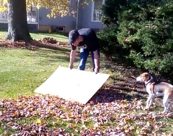 An Awesome and Time Saving Leaf Raking Hack Everyone Should Know This ...