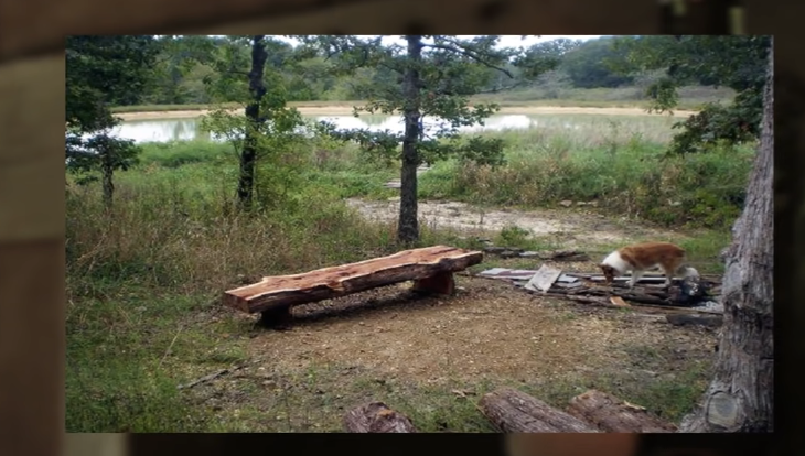 Man Buys An Old Broken Down Log Cabin For $100 and Does a Beautiful ...