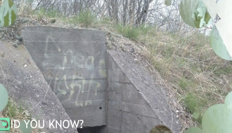 Two Men Stumble Upon These Pipes Protruding From The Ground